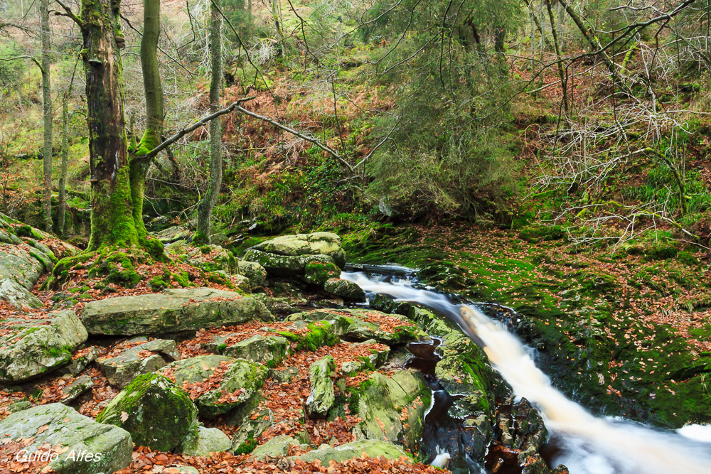 Le torrent Foto & Bild | landschaft, bach, fluss & see, bachläufe ...