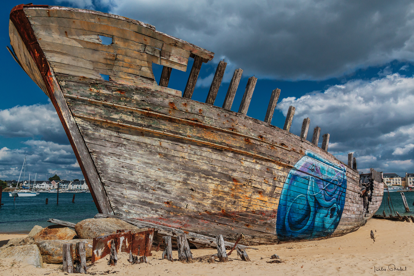 Le triton photo et image | france, world, bretagne Images fotocommunity