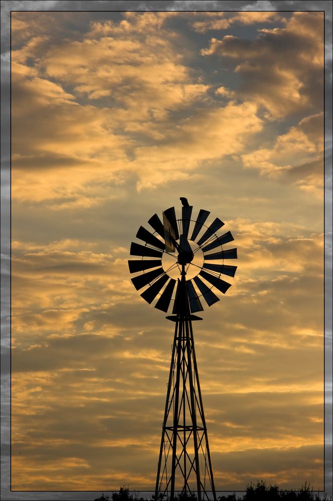 le vent Foto & Bild | architecture, les moulins, landschaften Bilder ...