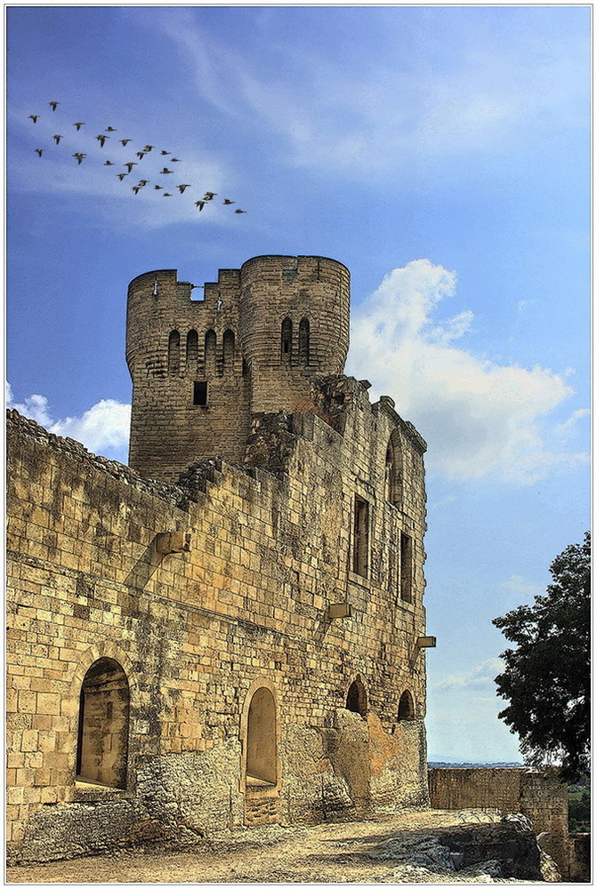 Le vieux donjon photo et image | architecture, architecture religieuse ...