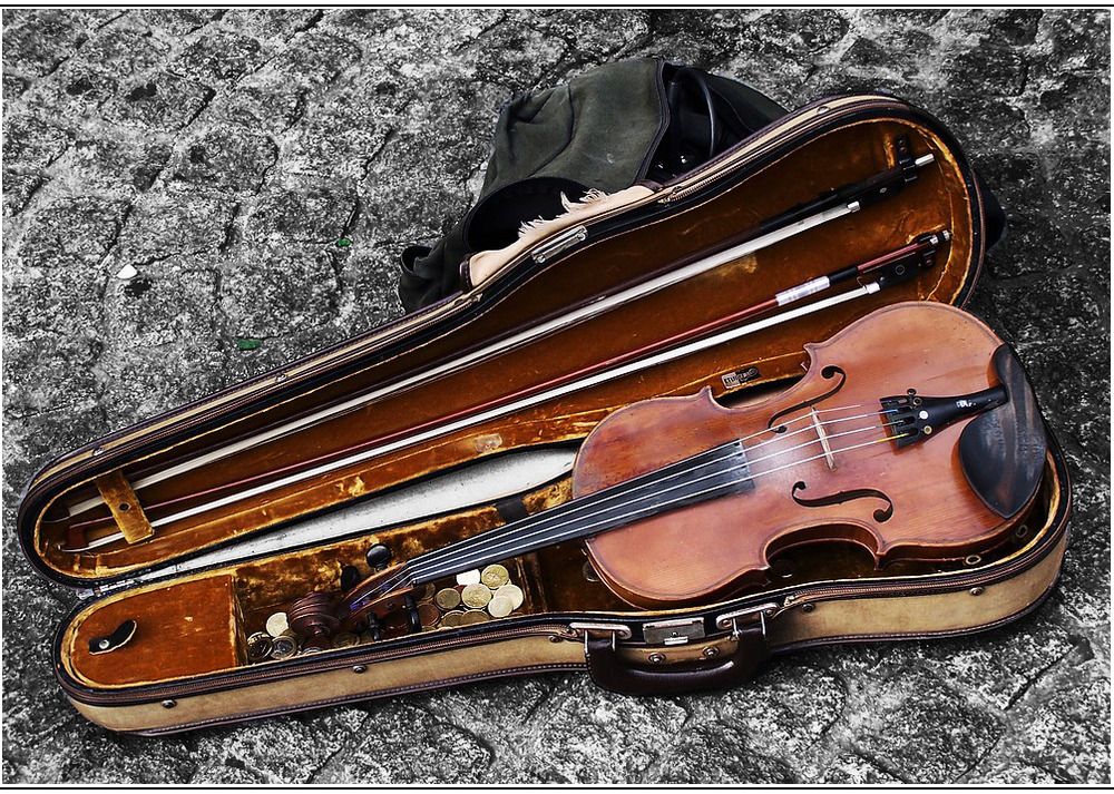 Le violon photo et image | animations photographiques, exercices ...