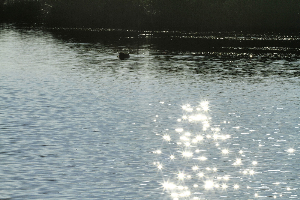 l'eau qui scintille ! photo et image | paysages, lacs, rivières ...