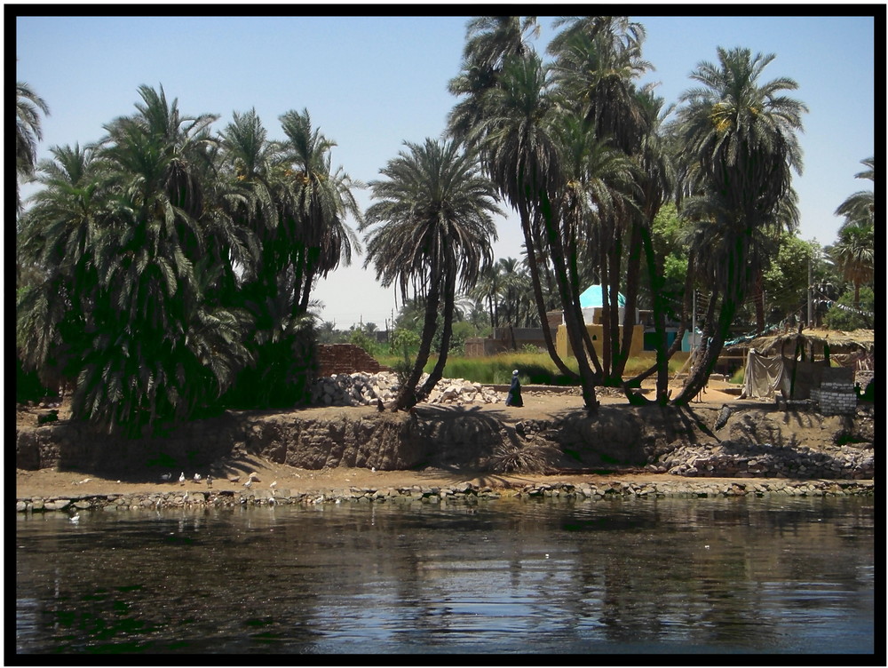 Leben am Nil 2 Foto & Bild | africa, egypt, north africa Bilder auf ...