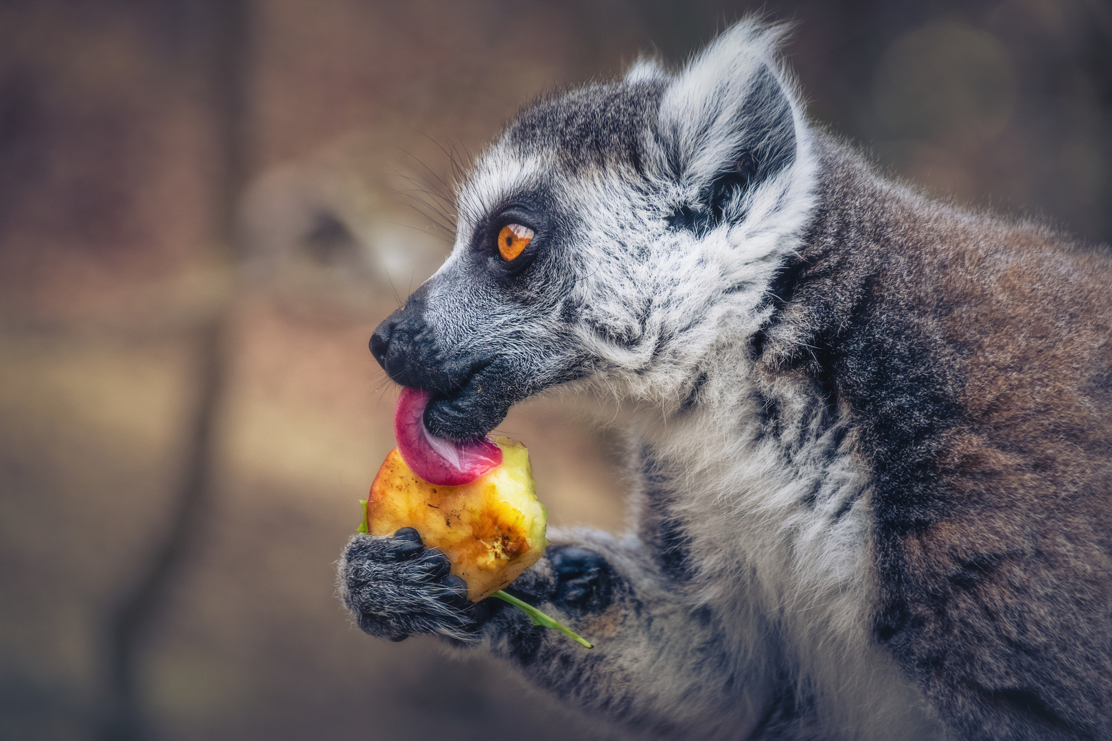 Lecker Foto & Bild | natur, tiere, portrait Bilder auf fotocommunity