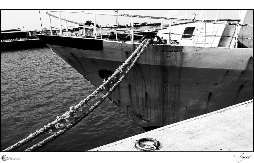 legata" Foto % Immagini| noi e il mare, mare, soggetti Foto su ...