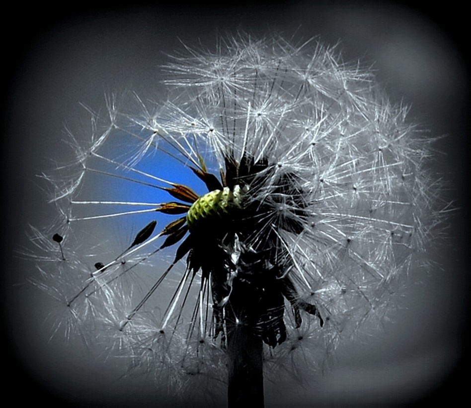 LEGERETE photo et image | nature, 15.5.16 Images fotocommunity