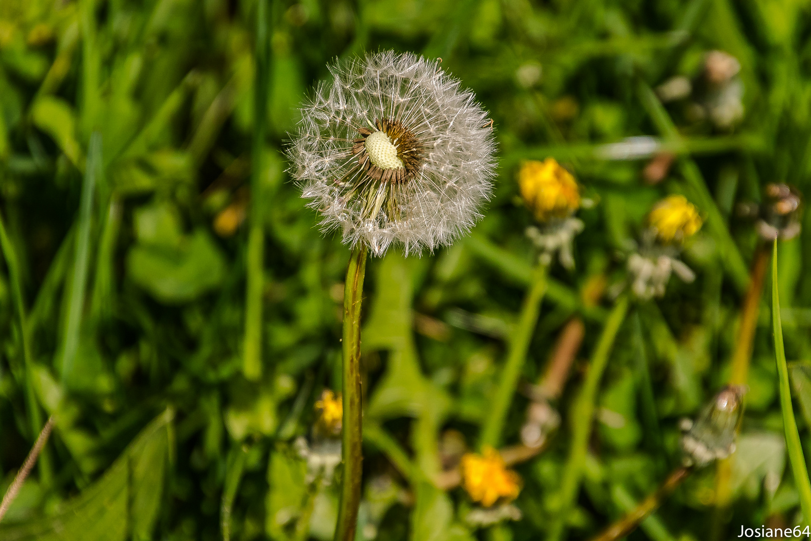 LEGERETE photo et image | nature, sauvages Images fotocommunity