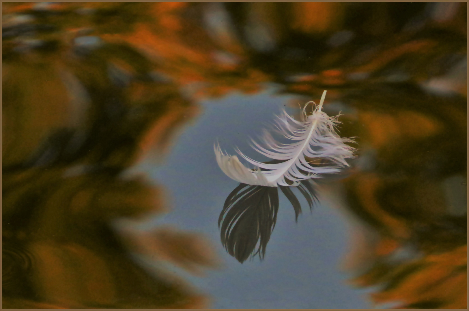 légèreté Foto % Immagini| italy, nature, world Foto su fotocommunity