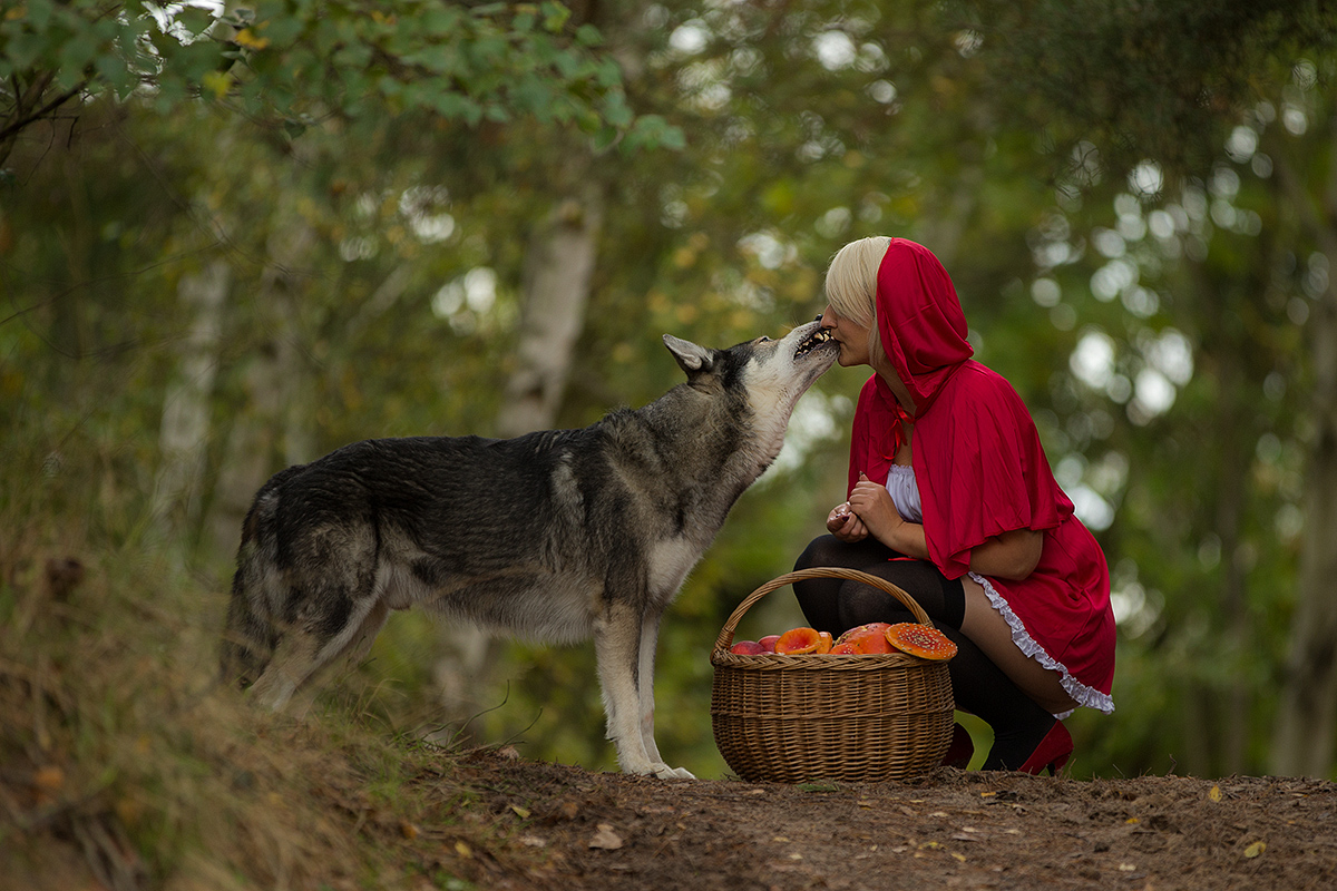 legger Rotkäppchen! Foto & Bild | tiere, tier und mensch, natur Bilder ...