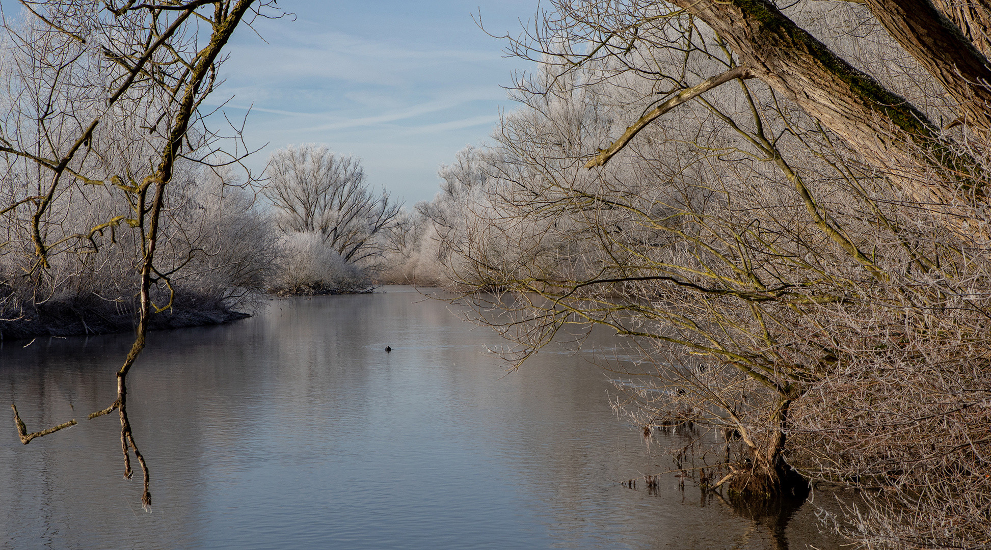 Leicht frostig Foto & Bild | landschaft, jahreszeiten, herbst Bilder ...