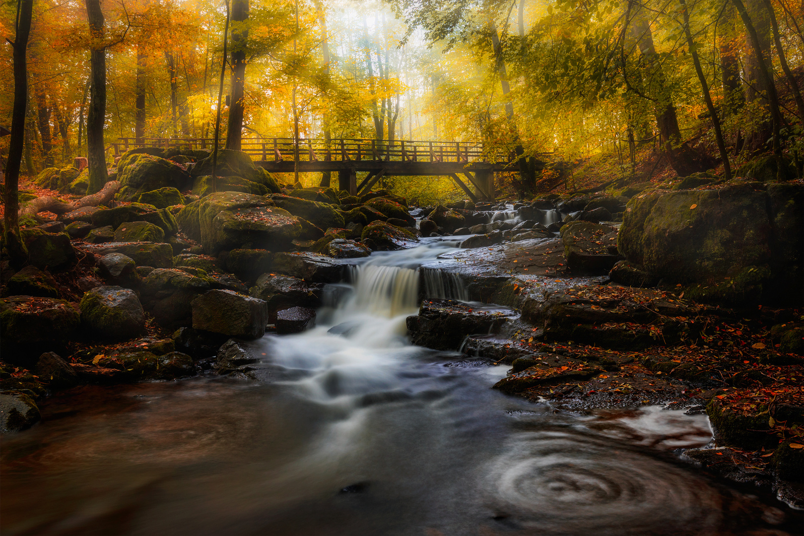 Leichter Nebel in der Holzbachtalschlucht Foto & Bild | landschaft, jahreszeiten, herbst Bilder ...