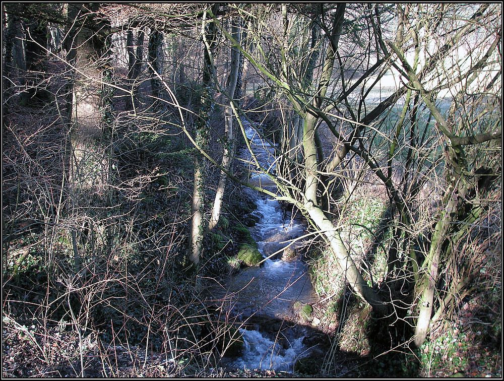 Leise höre ich .... Foto & Bild | landschaft, bach, fluss & see ...