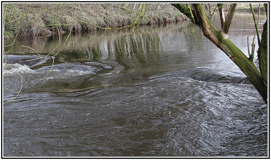 leise plätschert... Foto & Bild | landschaft, bach, fluss & see, natur ...