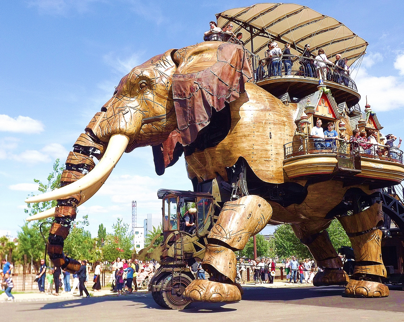 L'éléphant géant ! photo et image | arts de rue, special Images ...