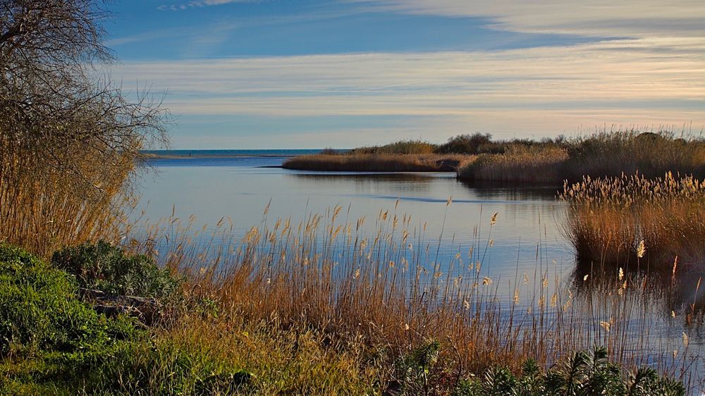 L'embouchure photo et image | paysages, lacs, rivières, cascades, les ...
