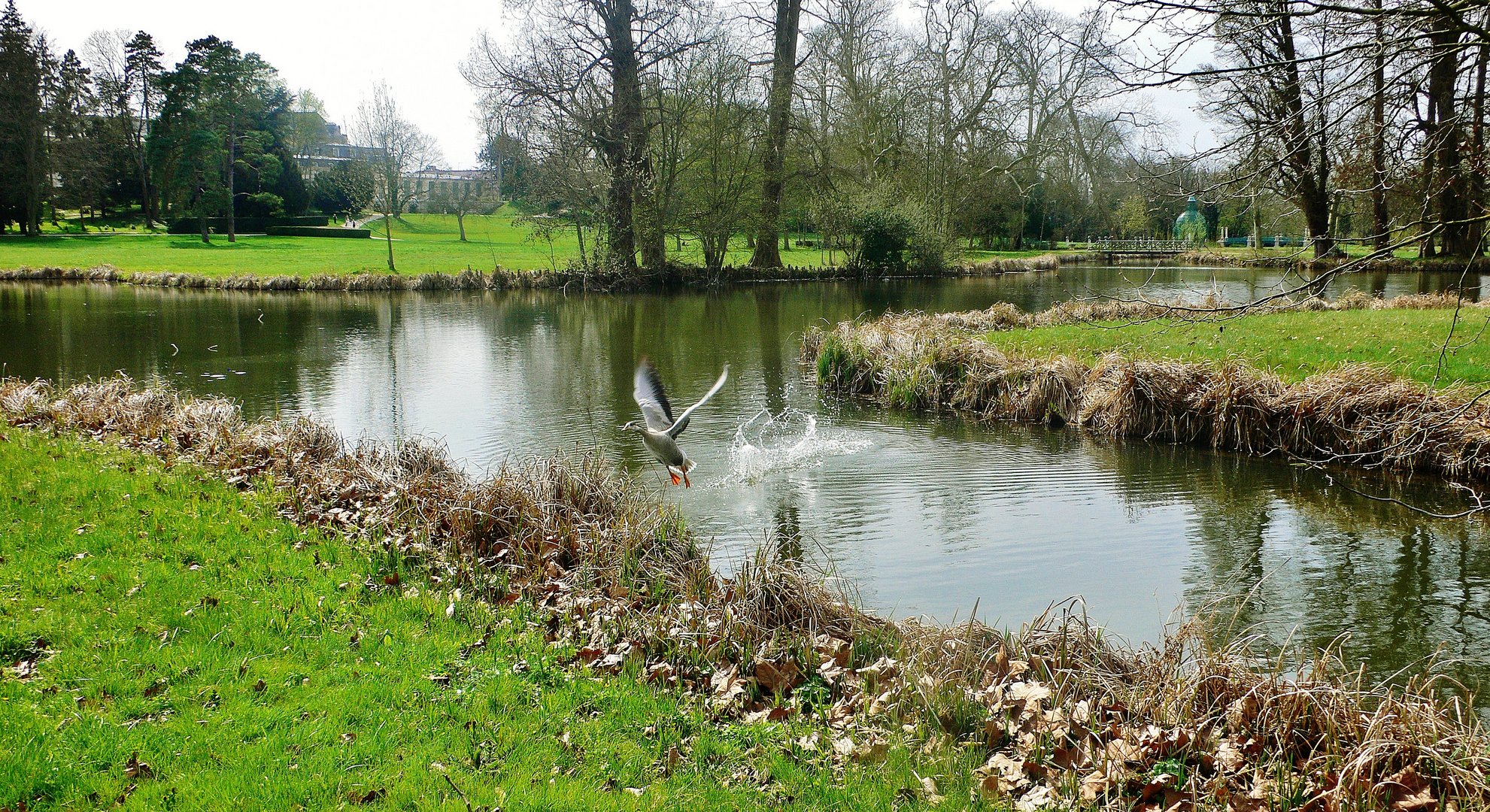 l'envol...... photo et image | animations photographiques, un jour ...