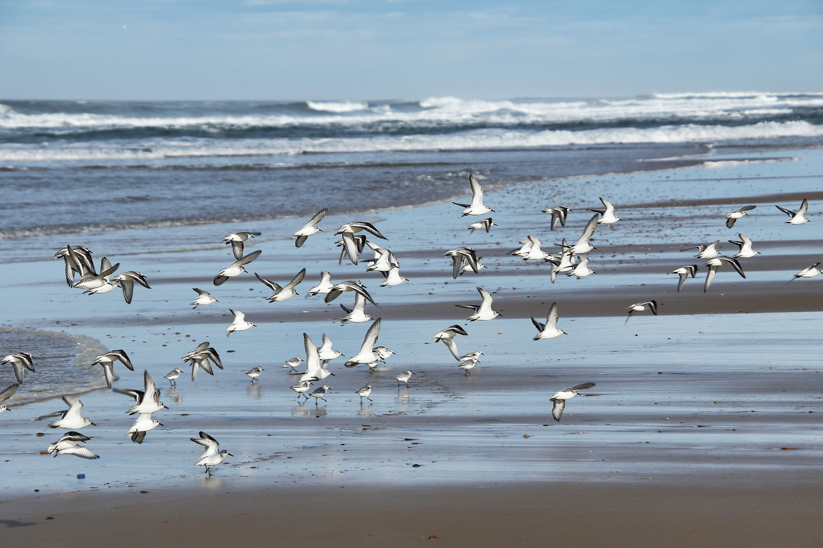 l'envol ! photo et image | animations photographiques, exercices photo ...