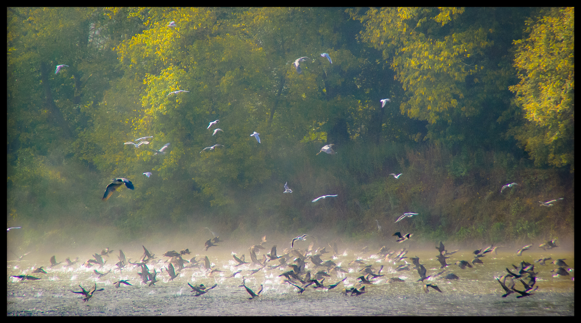 L'envol photo et image | france, nature, world Images fotocommunity