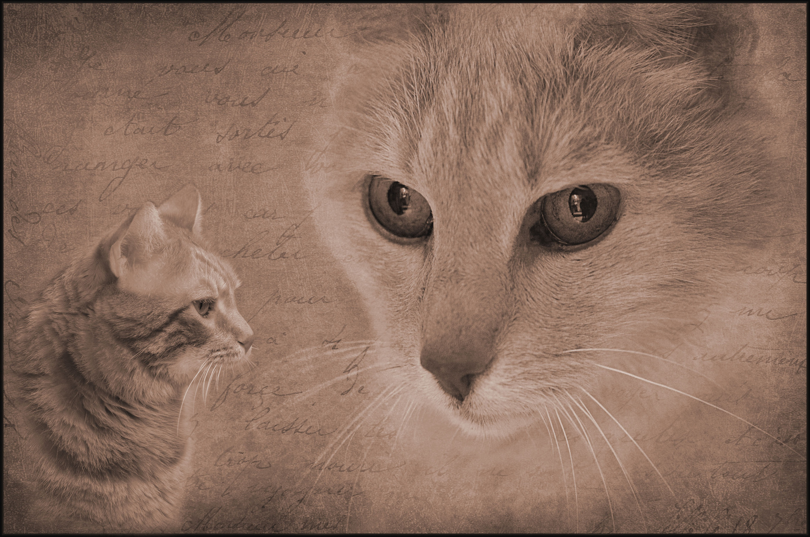 Leo + Felix Foto & Bild | art, world, spezial Bilder auf fotocommunity