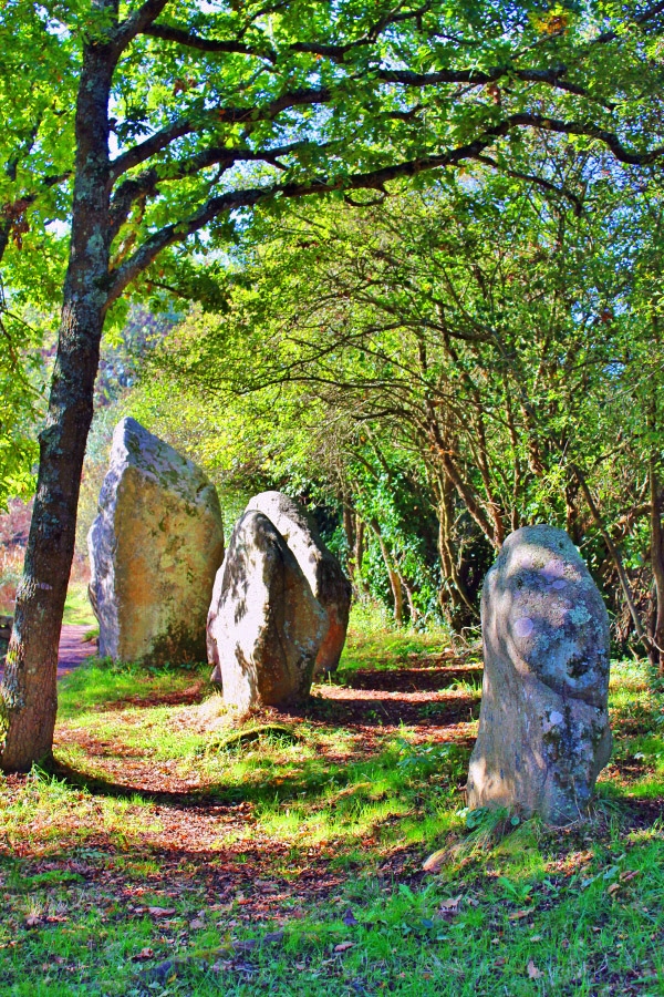 Les alignements de Kerzerho à Erdeven photo et image | paysages, nature ...