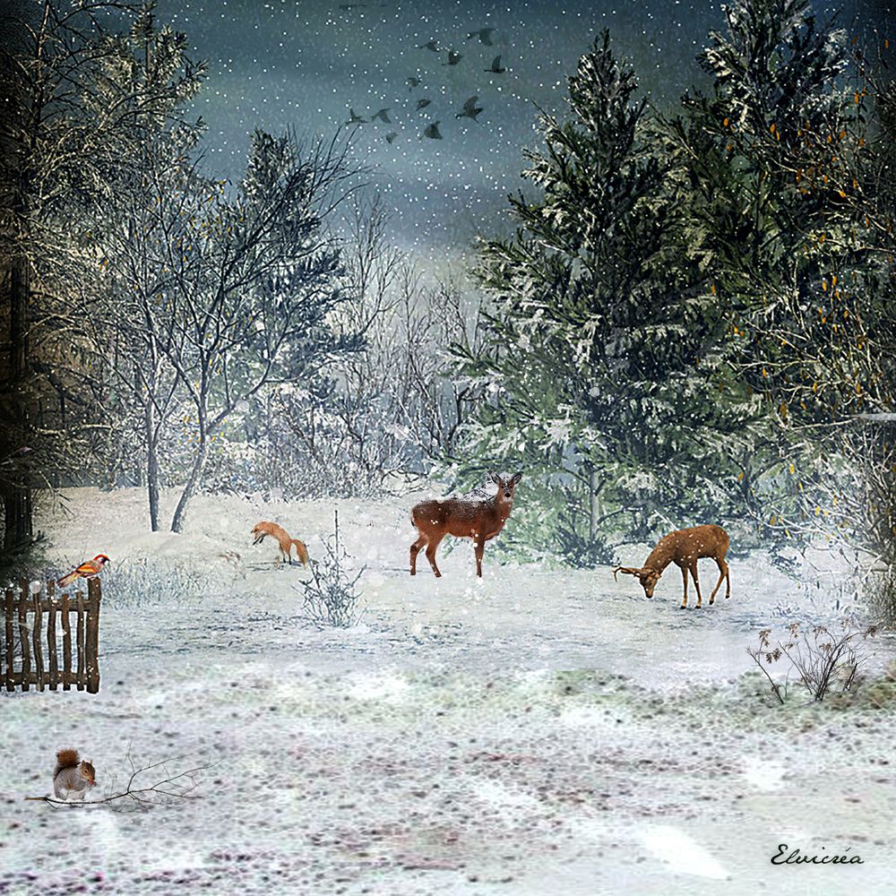Les animaux en hiver photo et image | digiart, collage, forêt Images ...