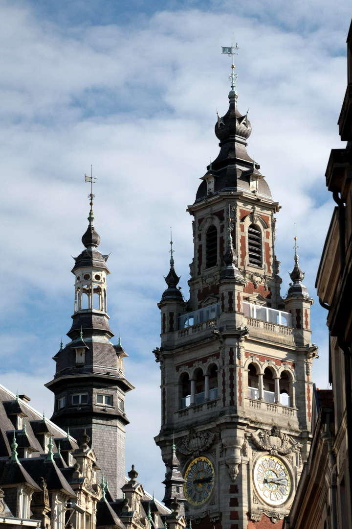 Les beffrois de Lille ... quelques uns photo et image | architecture d ...