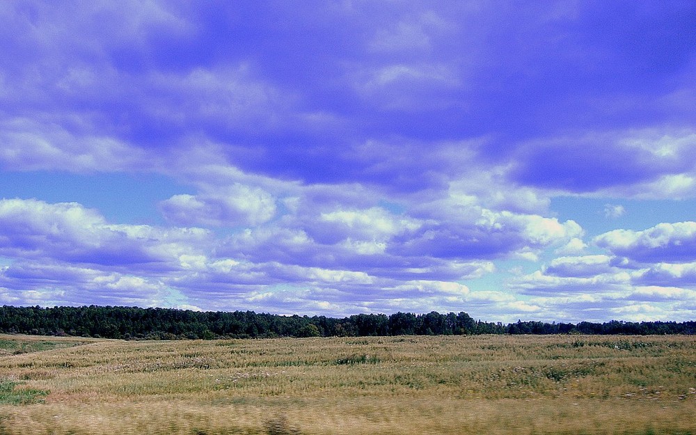 Les champs photo et image | paysages, paysages de campagne, nature ...