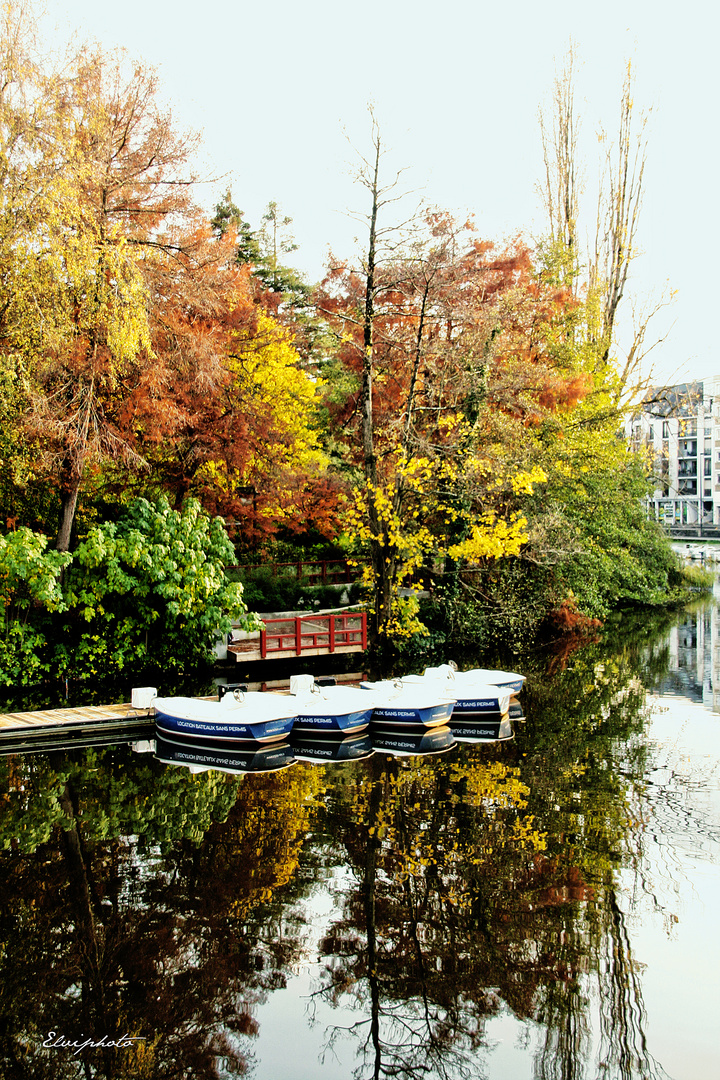 Les couleurs d'automne photo et image | paysages, animations ...