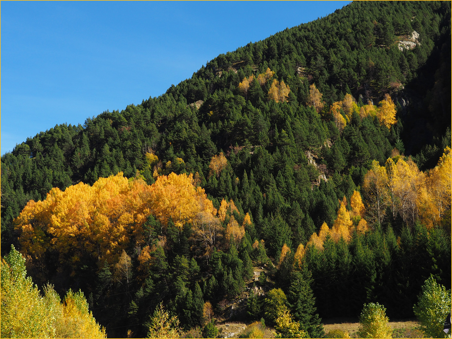 Les couleurs des Pyrénées en octobre -- Andorre photo et image | europe ...
