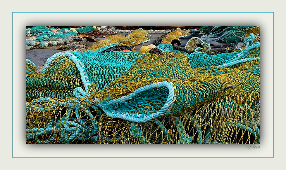 Les filets photo et image | vert, filets, jeudi Images fotocommunity