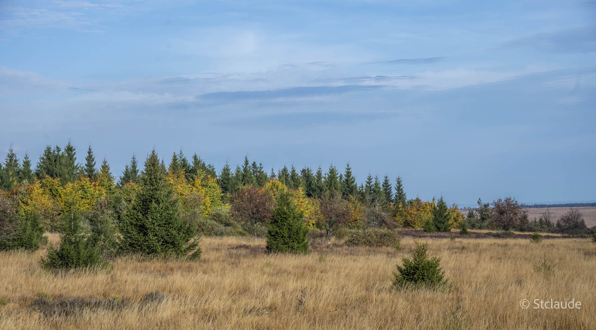 Les Hautes Fagnes 1 Foto & Bild | natur, landschaft, belgien Bilder auf ...