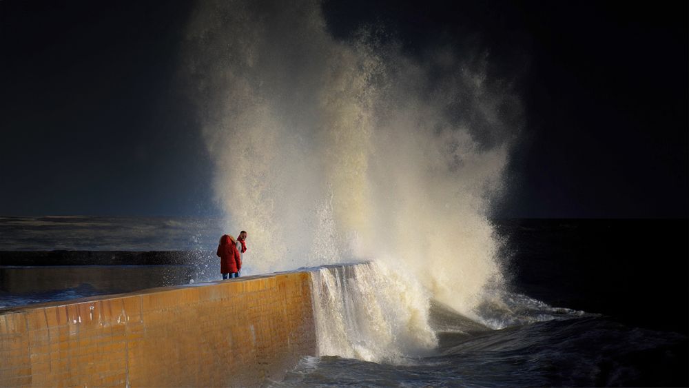les imprudents photo et image | nature, bretagne, naure Images ...