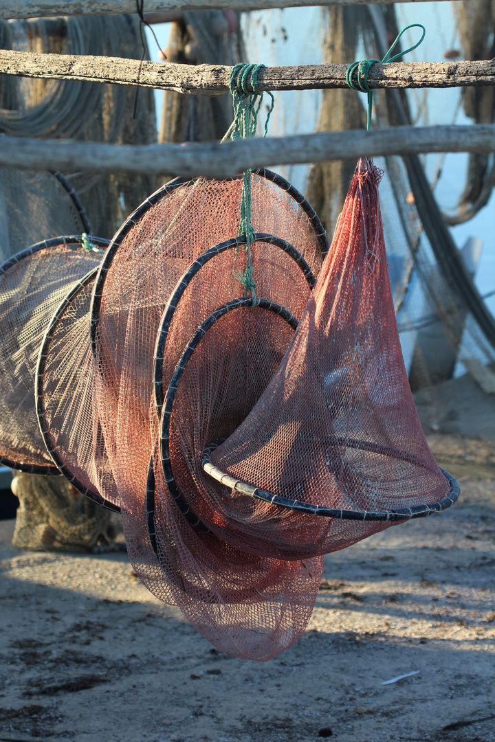 Les nasses photo et image | naval, rose, hérault Images fotocommunity