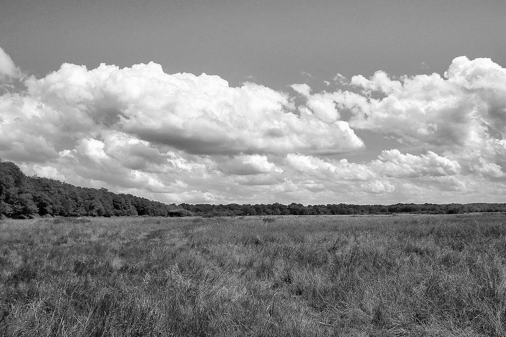 les nuages blancs !!! photo et image | animations photographiques ...
