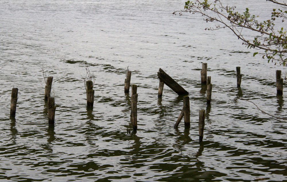 Les pieux photo et image | divers, la nature simplement, nature Images ...