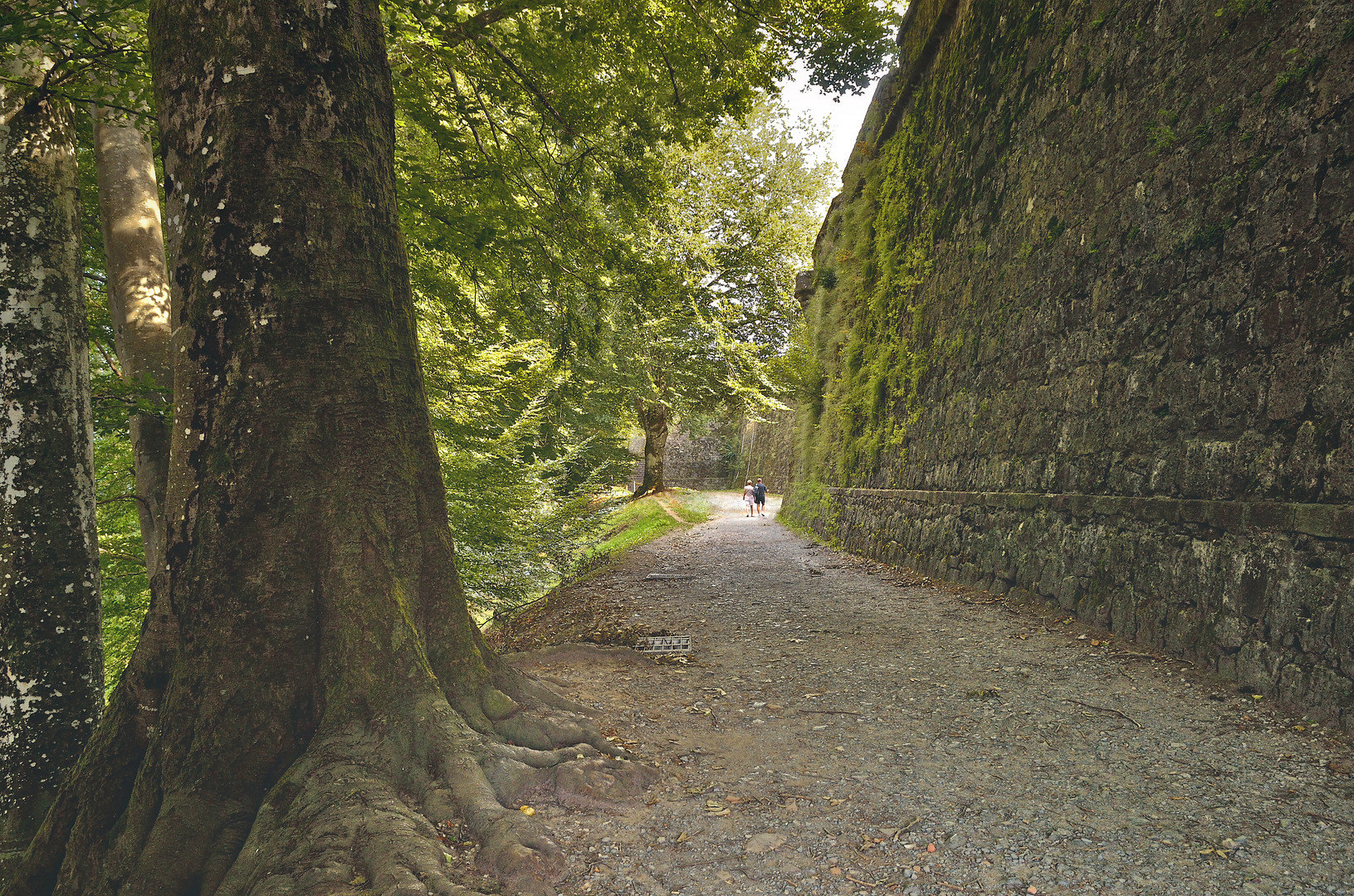 Les remparts photo et image | architecture, vieilles pierres, paysage ...