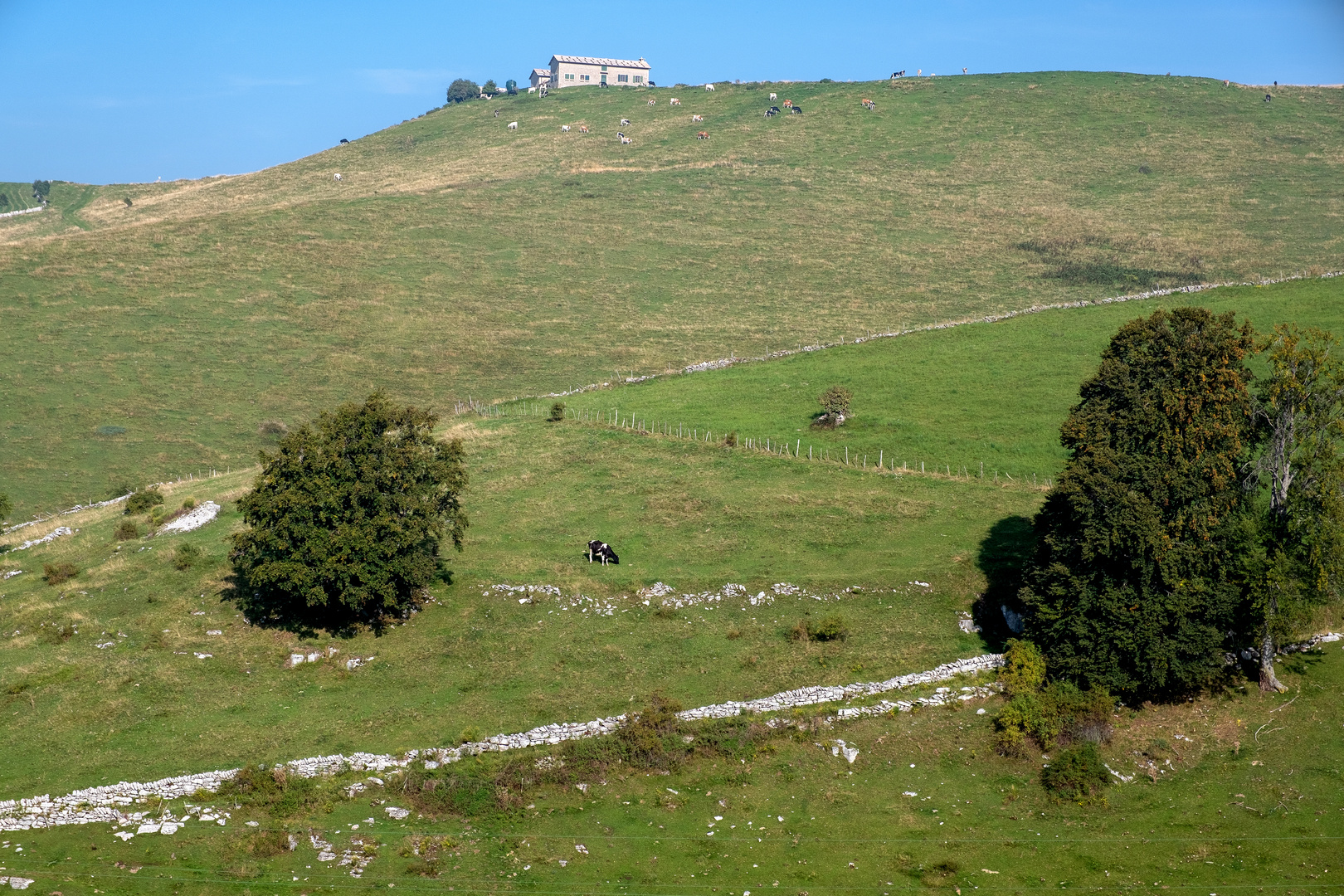 lessinia Foto % Immagini| natura, temi Foto su fotocommunity