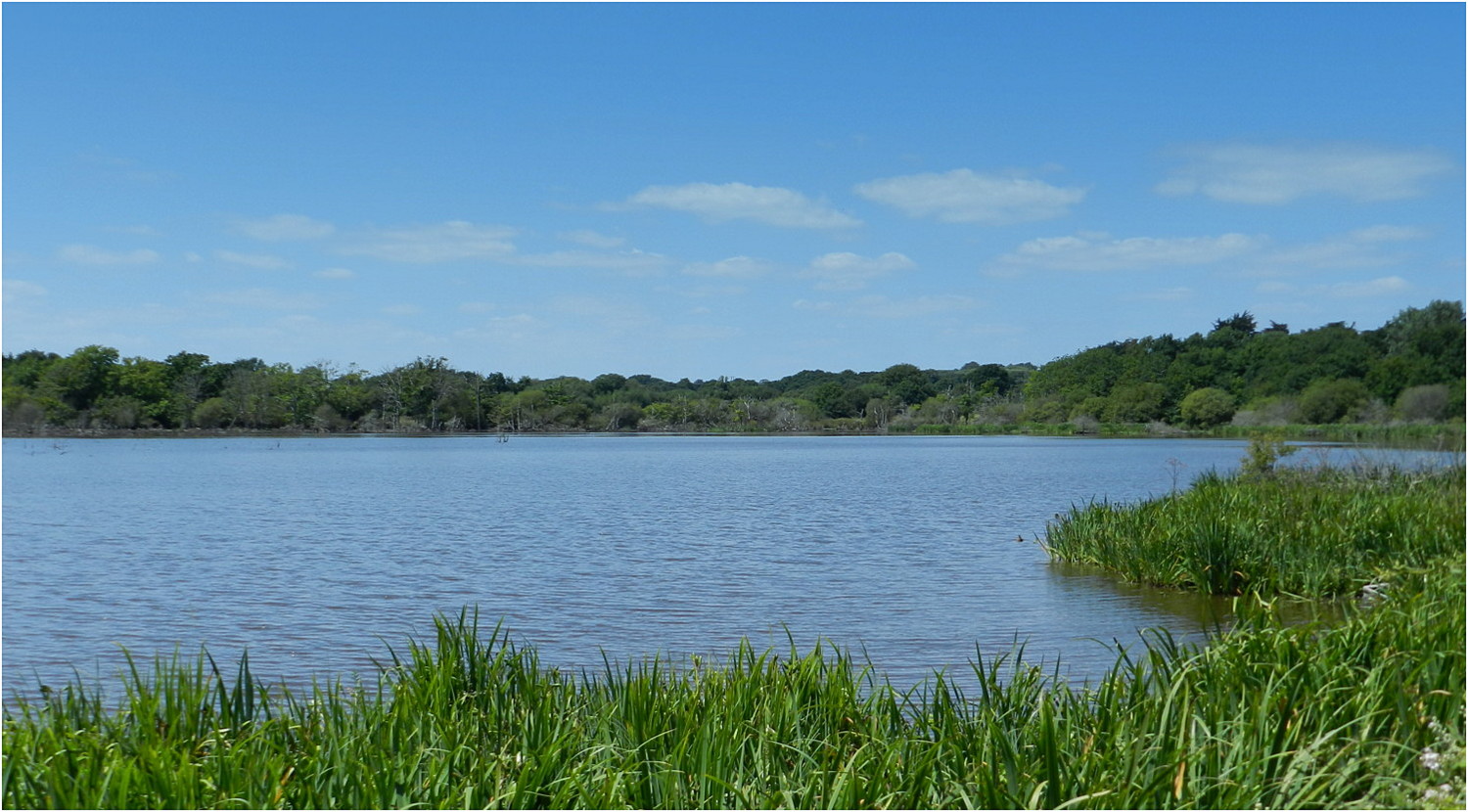 l'étang photo et image | paysages, lacs, rivières, cascades, lacs et ...