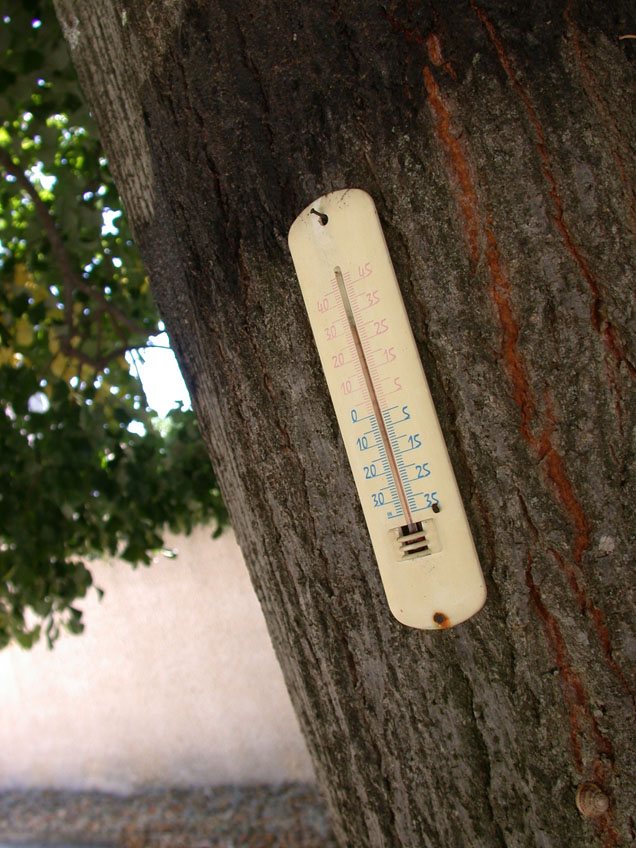l'été, il fait chaud, très chaud photo et image | les saisons, eté ...