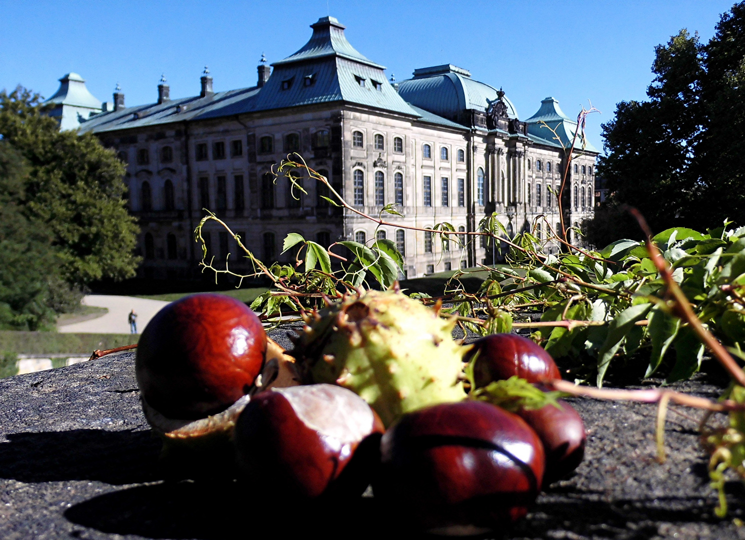 Letzte Kastanien Foto & Bild | landschaft, jahreszeiten, herbst Bilder ...