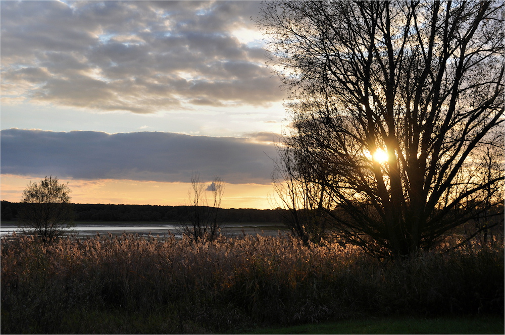 France Lac de Orient | Edith Vogel Fotografie