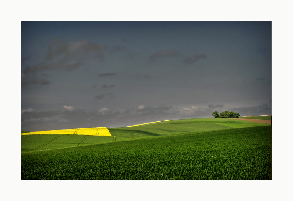 Leuchtende Felder Foto & Bild | europe, france, champagne-ardennes ...