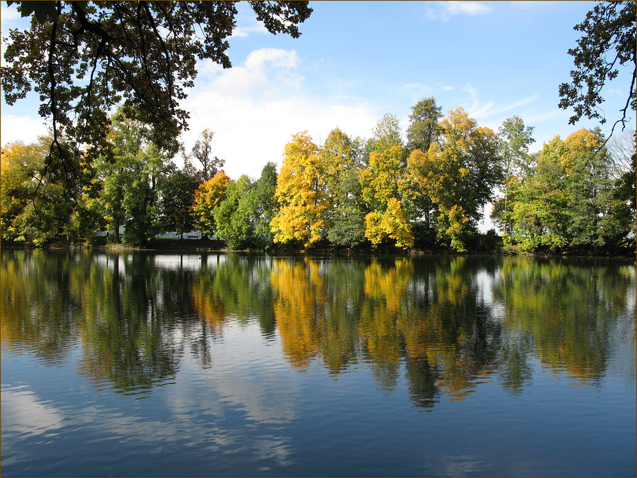Leuchtender Herbst ... Foto & Bild | jahreszeiten, herbst, natur Bilder auf fotocommunity