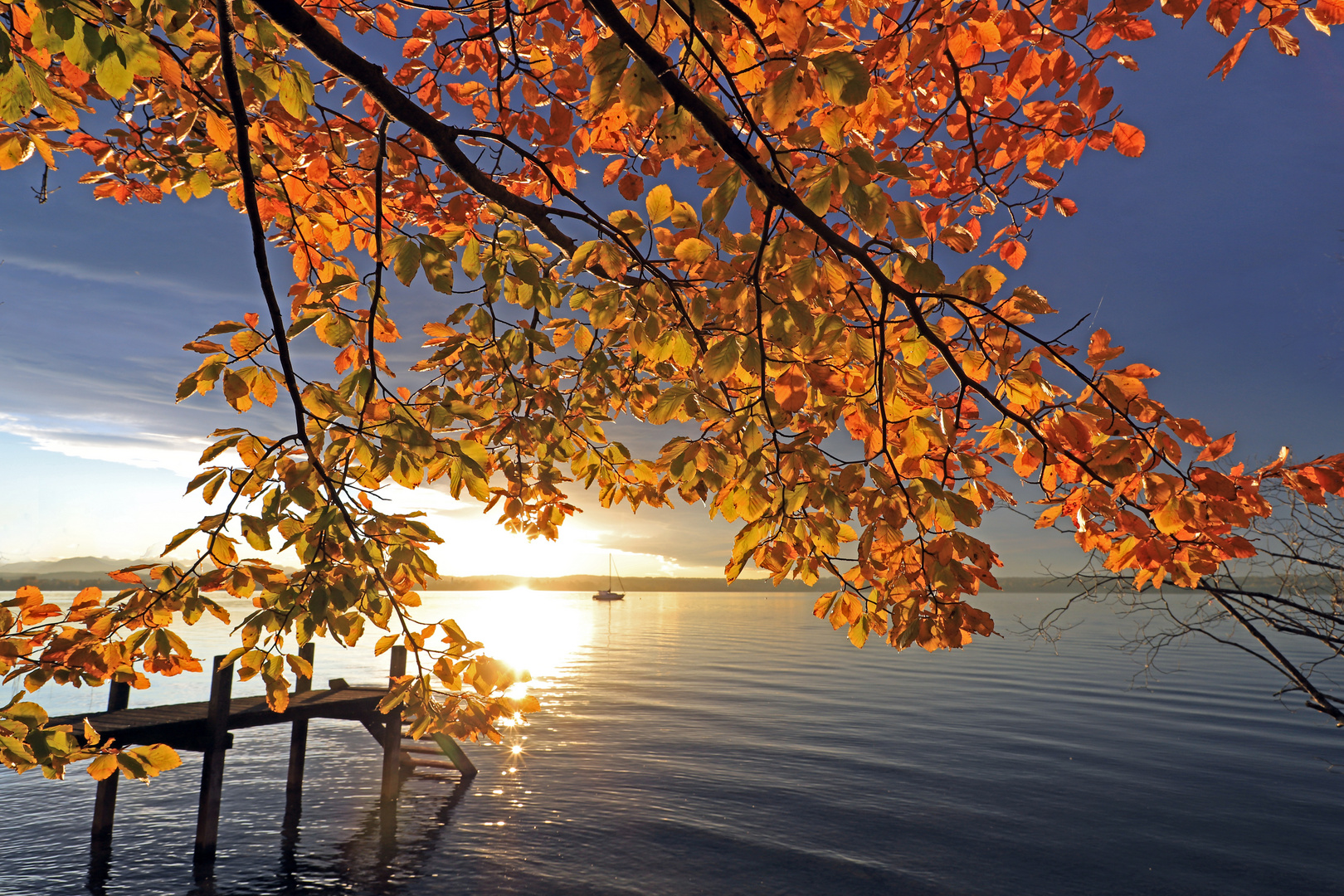 Leuchtender Herbst Foto & Bild | landschaft, jahreszeiten, herbst Bilder auf fotocommunity