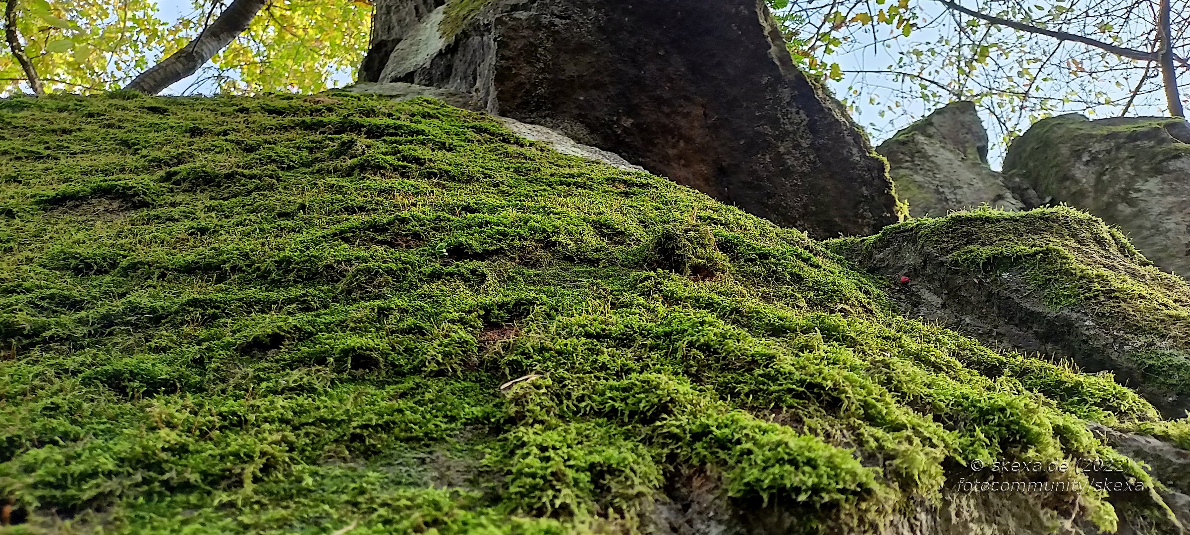 Leuchtender Moos-Felsen im Siebengebirge Foto & Bild | deutschland ...