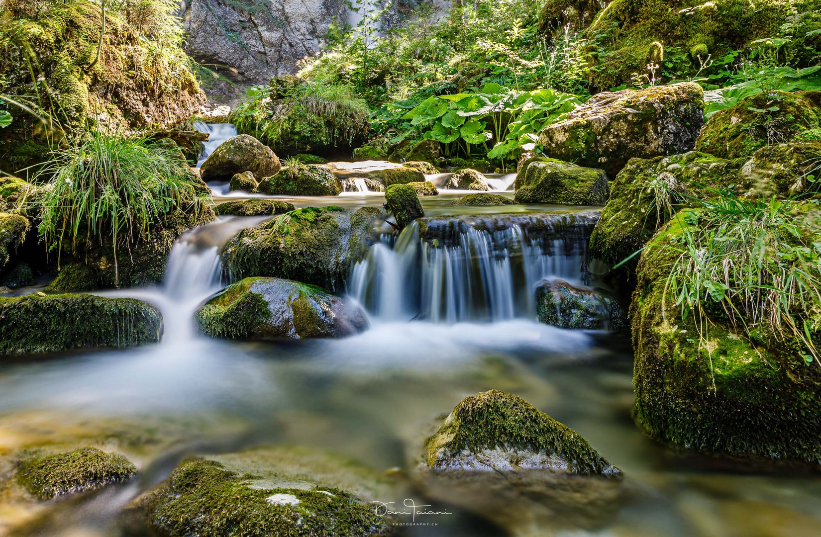 Leuenfall Foto & Bild | landschaft, bach, fluss & see, bachläufe Bilder auf fotocommunity
