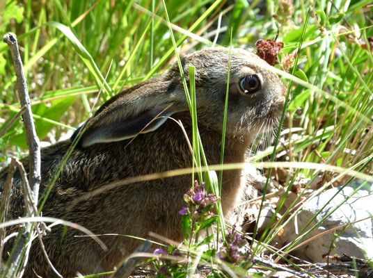 Autres Images & Photos