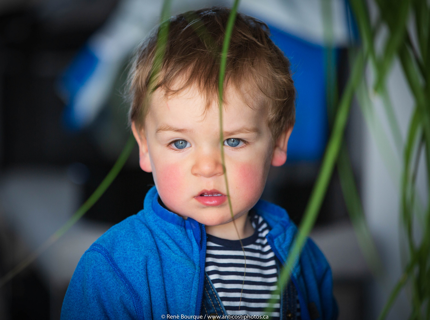 Liam, mon petit fils le 19 mai photo et image | portraits, portraits d ...