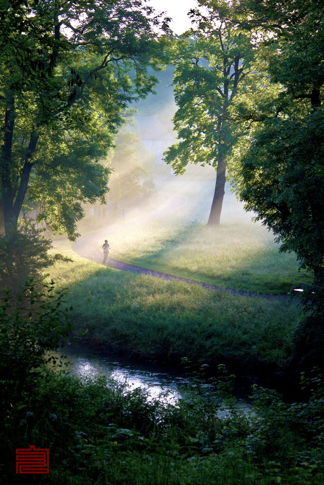 Licht Foto & Bild | landscape, gardens & parks, nature Bilder auf ...