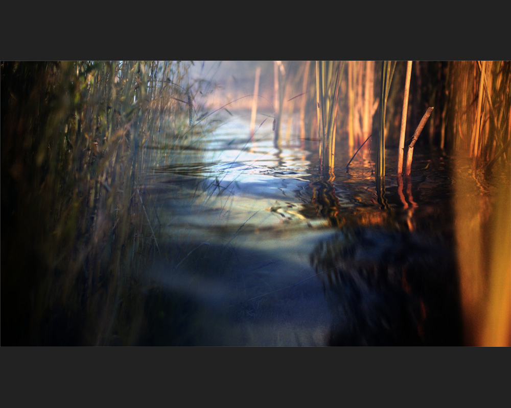 licht er blicke Foto & Bild | mystische orte, specials, wasser Bilder ...